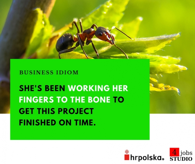 HR Idioms- TO WORK YOUR FINGERS TO THE BONE